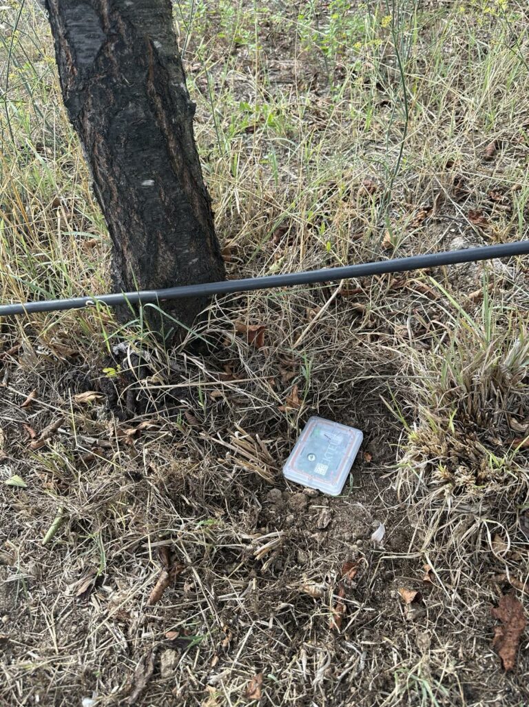 TEKTELIC | How LoRaWAN® Transforms Agricultural Practices