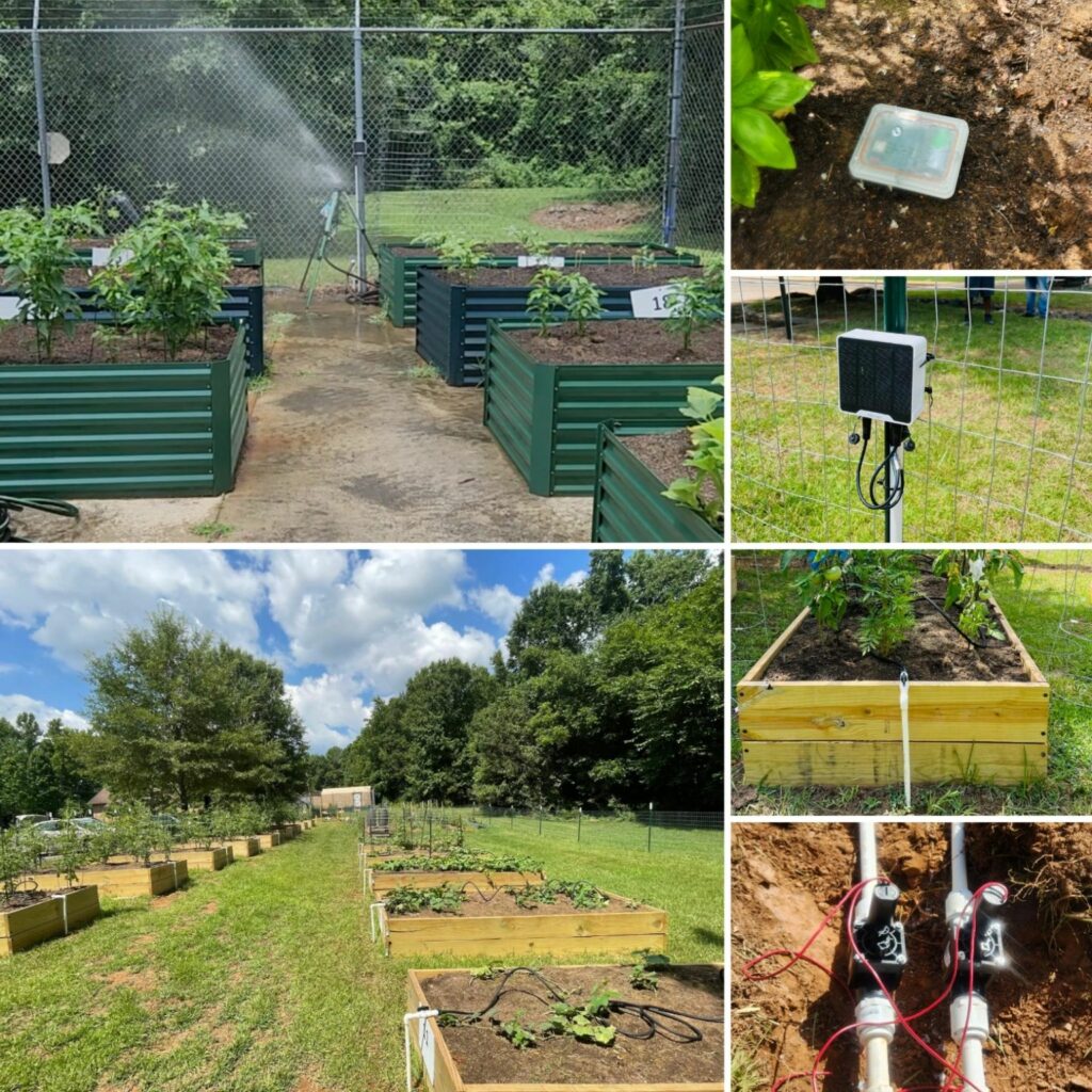 TEKTELIC | Transforming Community Gardens with Automated Irrigation