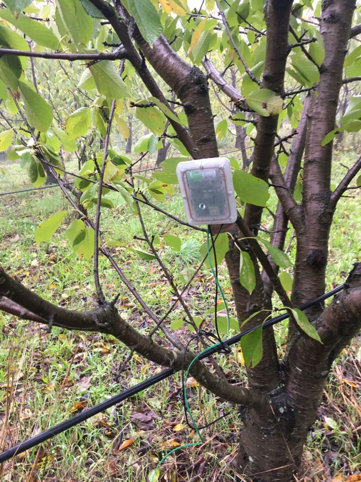 9 Must-See Real-World IoT Applications Examples