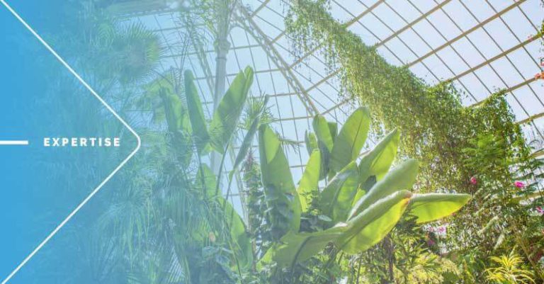 Monitoring of Greenhouse Environment Using IoT | TEKTELIC